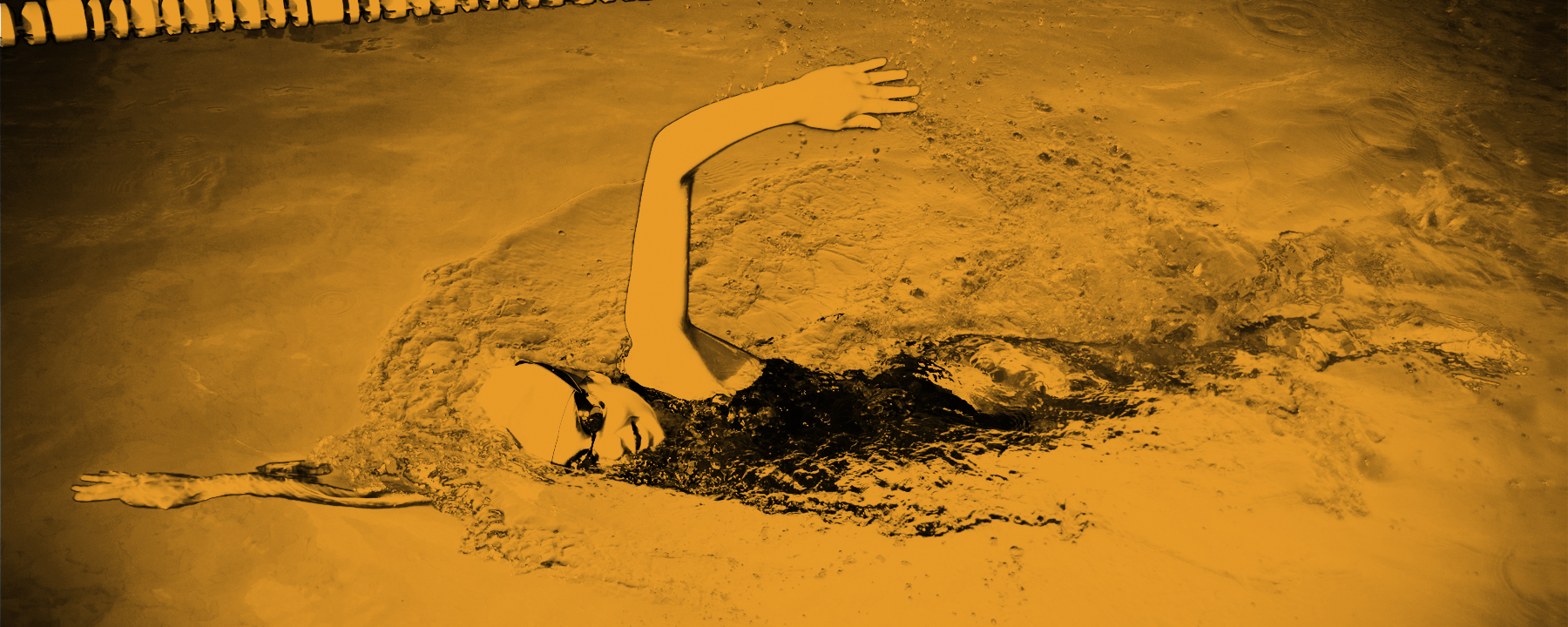 Técnica de Crawl - Sportium